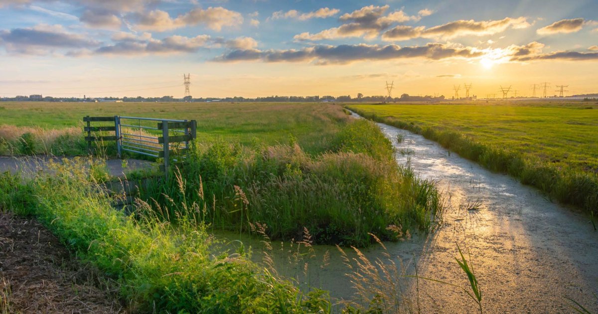 Radreise Niederländisches Wasserlandschaft - Utrecht und Grünes Herz
